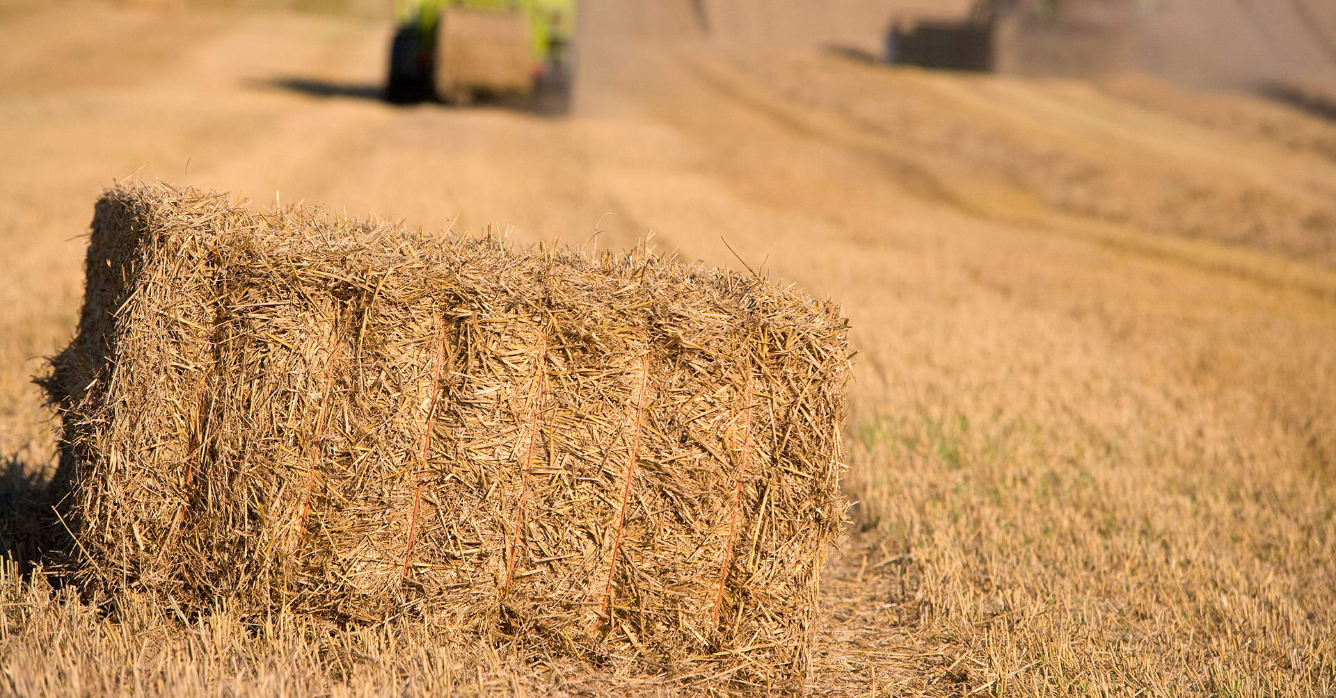 BALER TWINE - BKT Farming Solutions